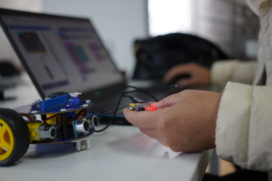 Inspire Coding and Robotics Online - Inspire Africa